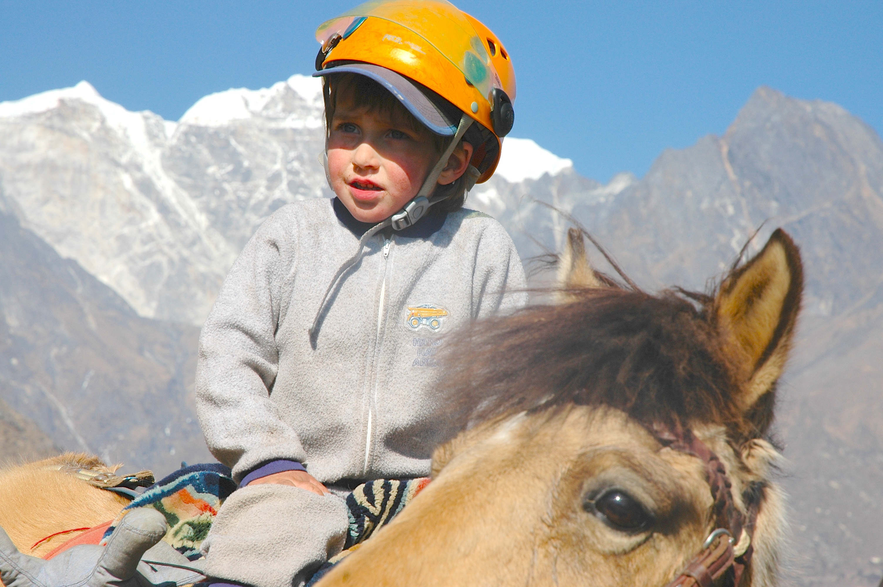 The Adventures of Blue Bear | Pioneering The Simple Life