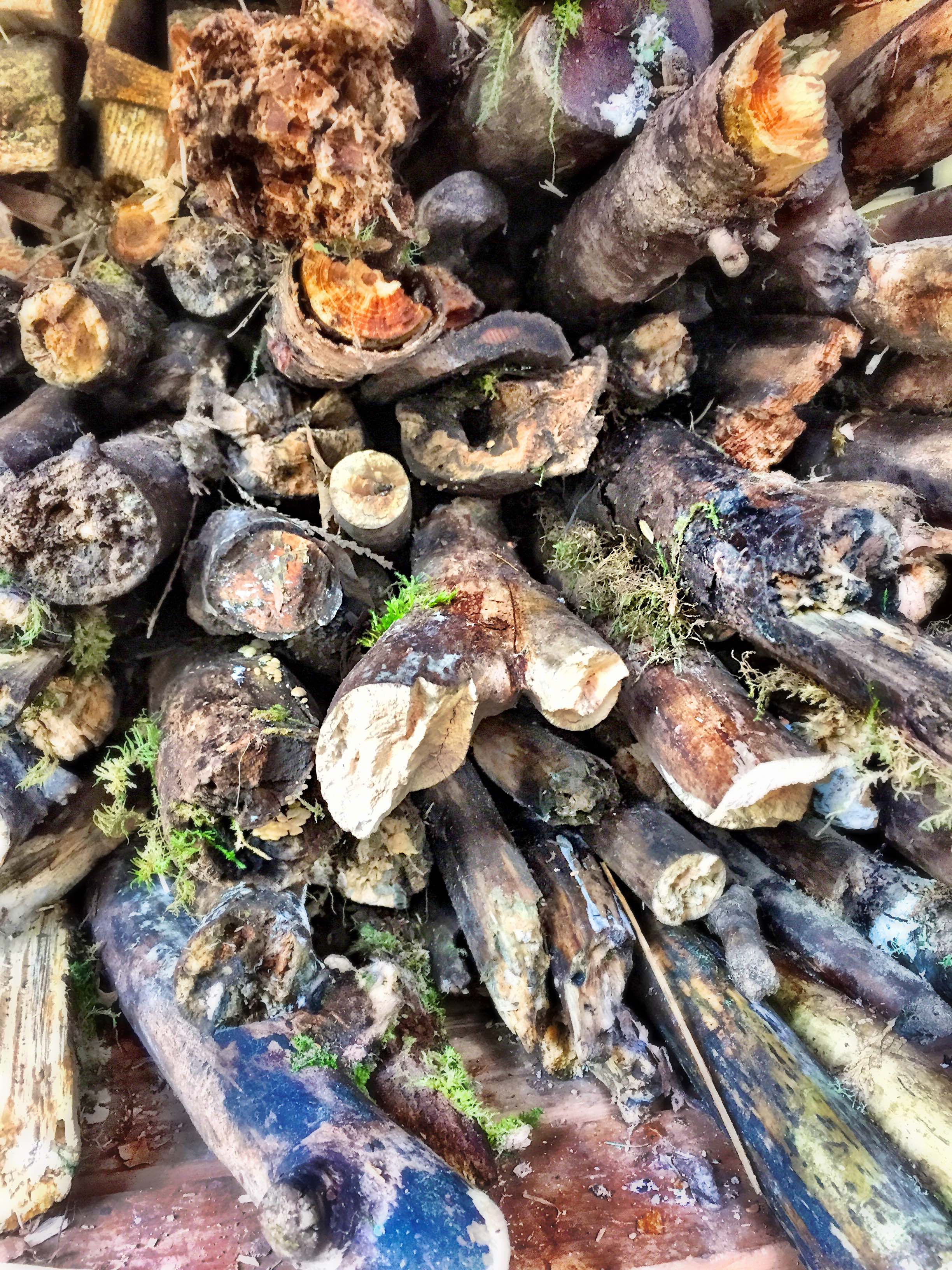 A Wood-Foraging Workout | Pioneering The Simple Life