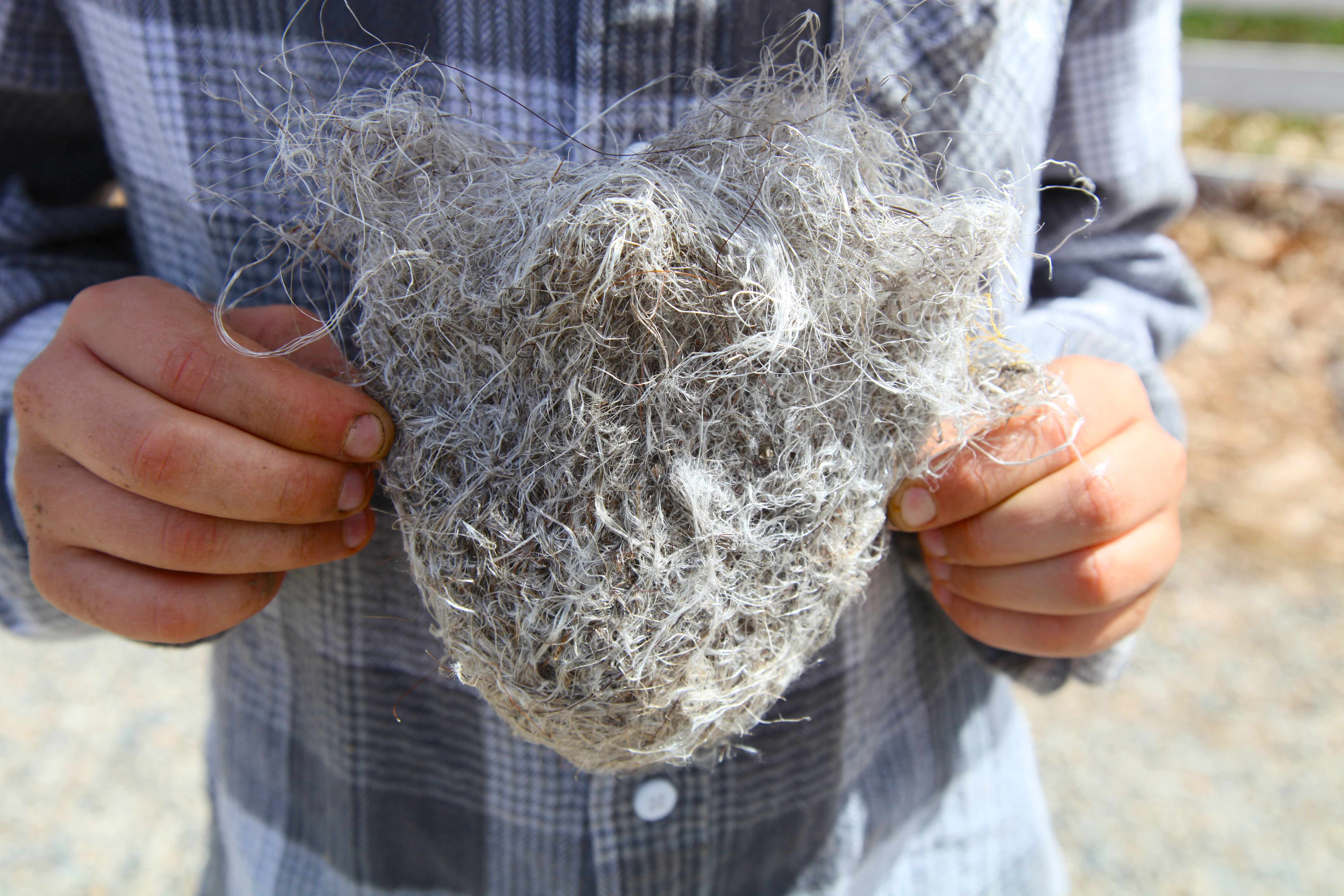 Yarn Scraps Are For The Birds | Pioneering The Simple Life