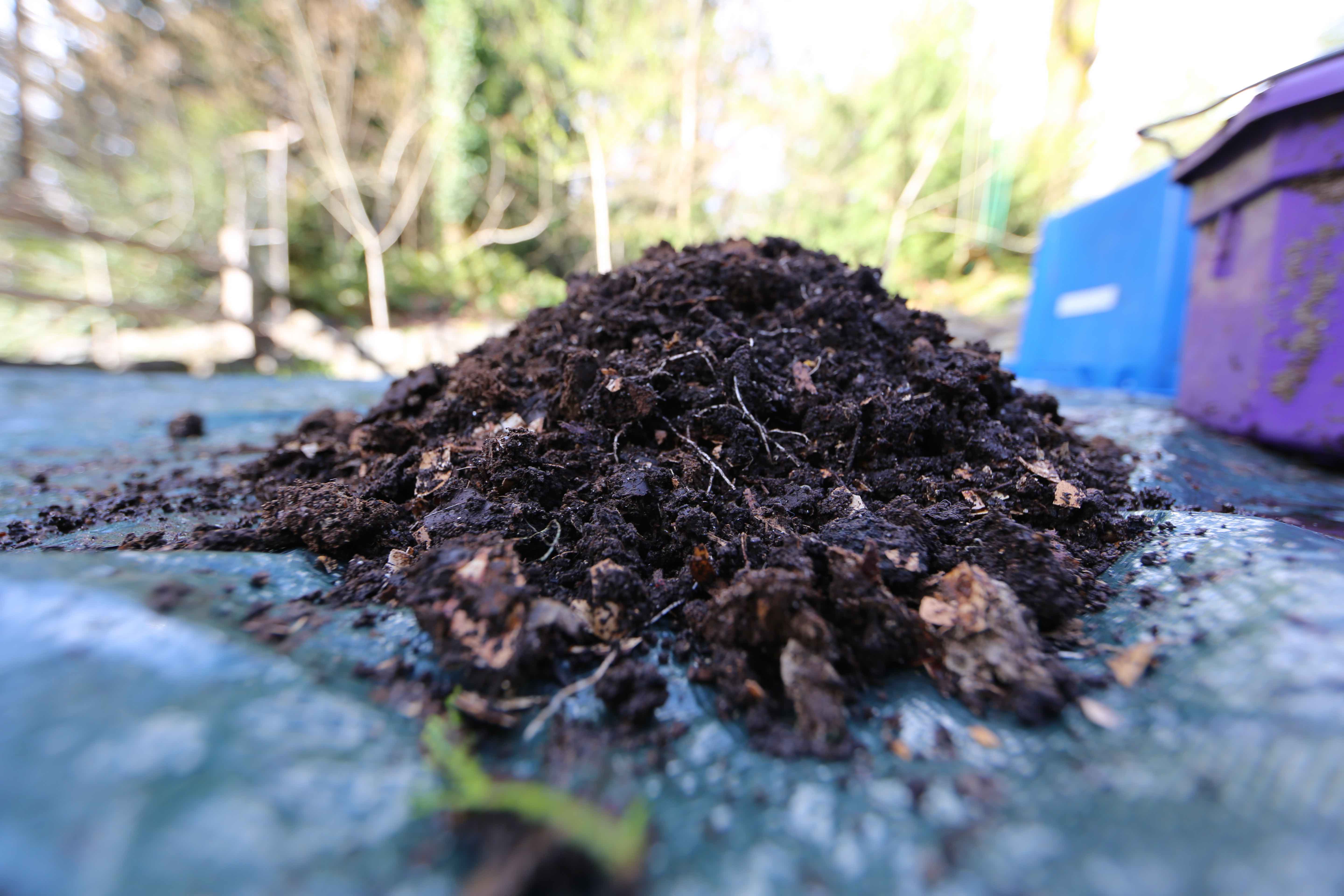 Worm Ball Composting | Pioneering The Simple Life