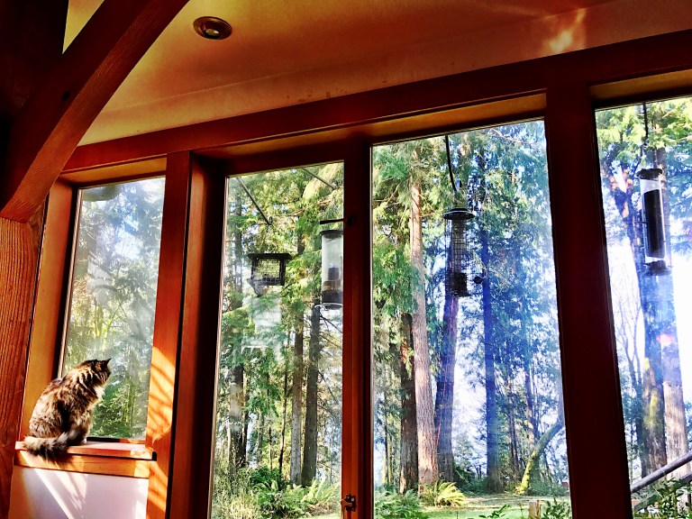 DIY Suet | Pioneering The Simple Life