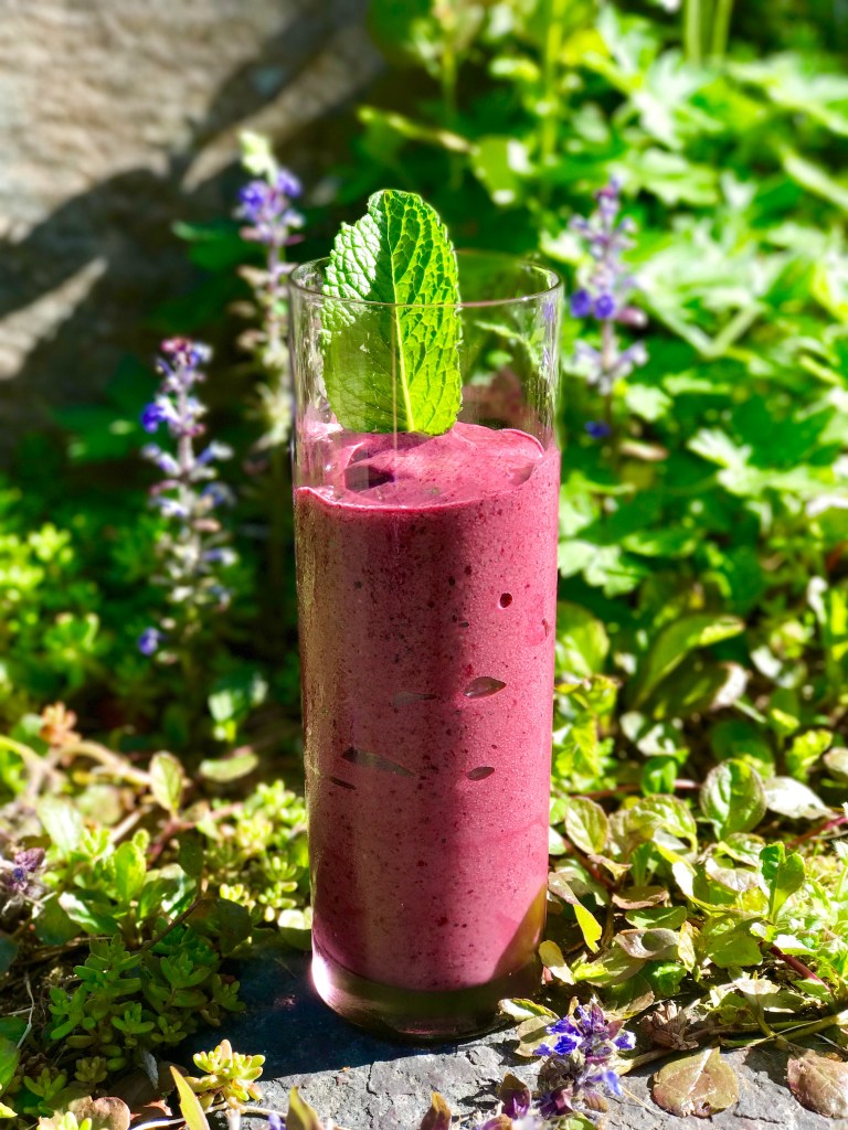 Purple Deadnettle Purple Smoothie | Pioneering The Simple Life