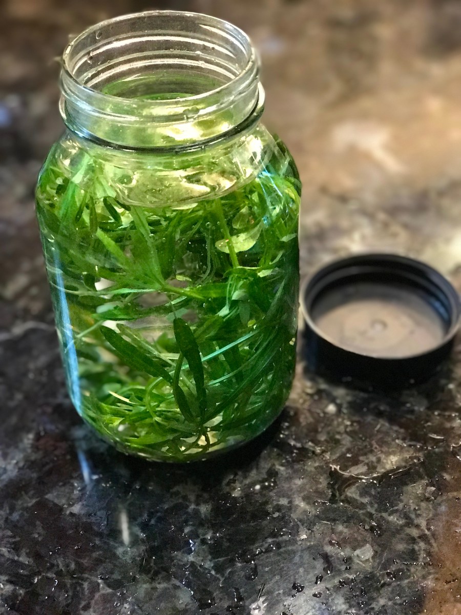Sticky Weed Cleansing Drink | Pioneering The Simple Life